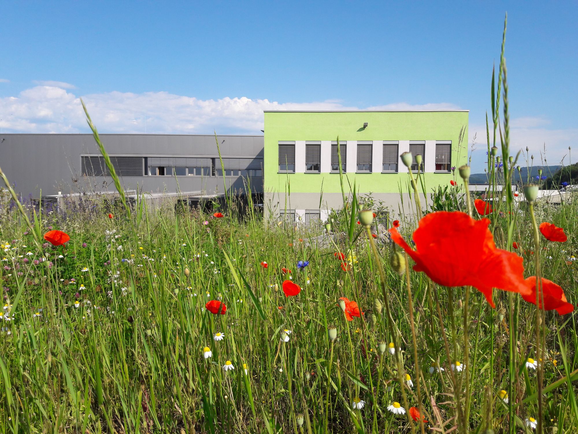 BODAN GmbH | WIR. Bio Power Bodensee